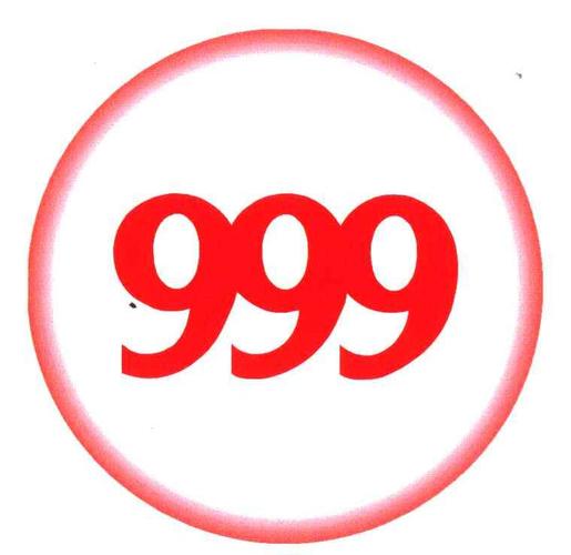 999‰在线阅读图标