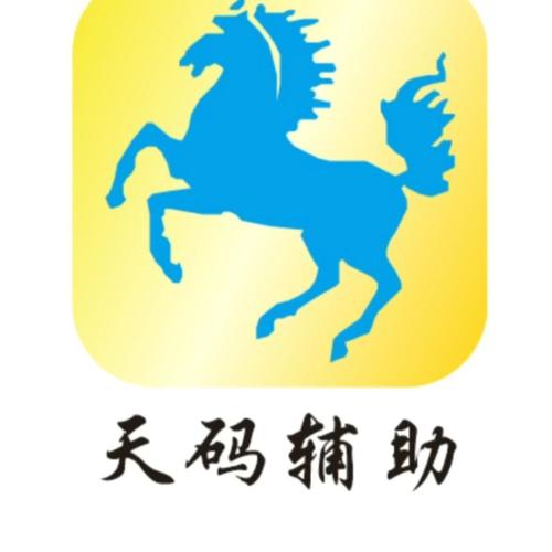 天码辅助app无限能量图标