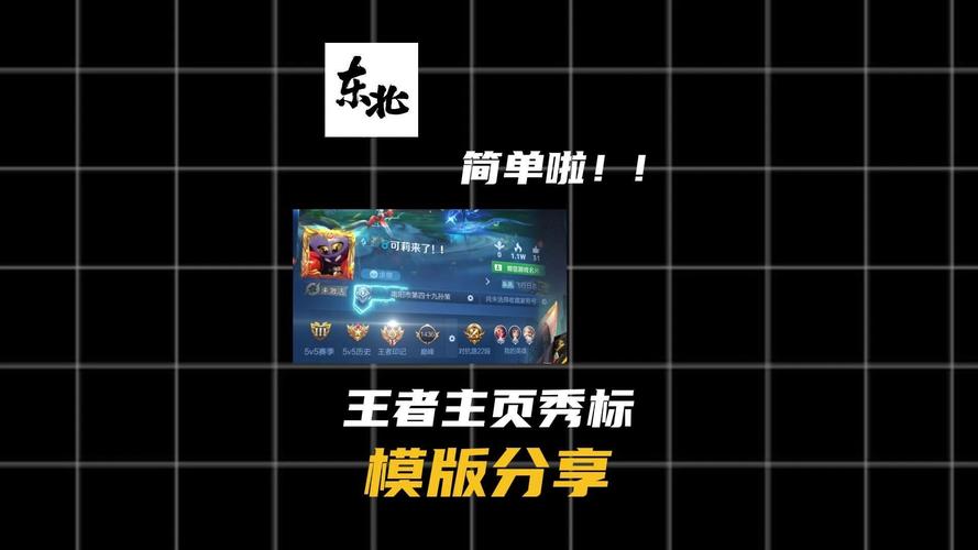 王者主页资料修改器去广告截图