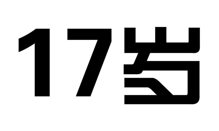 17岁免费版破解图标