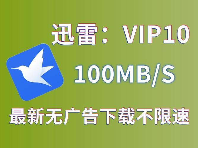 迅雷加速器永久vip版图标