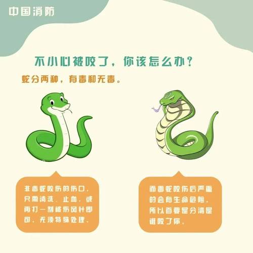 毒蛇辅助器破解版图标