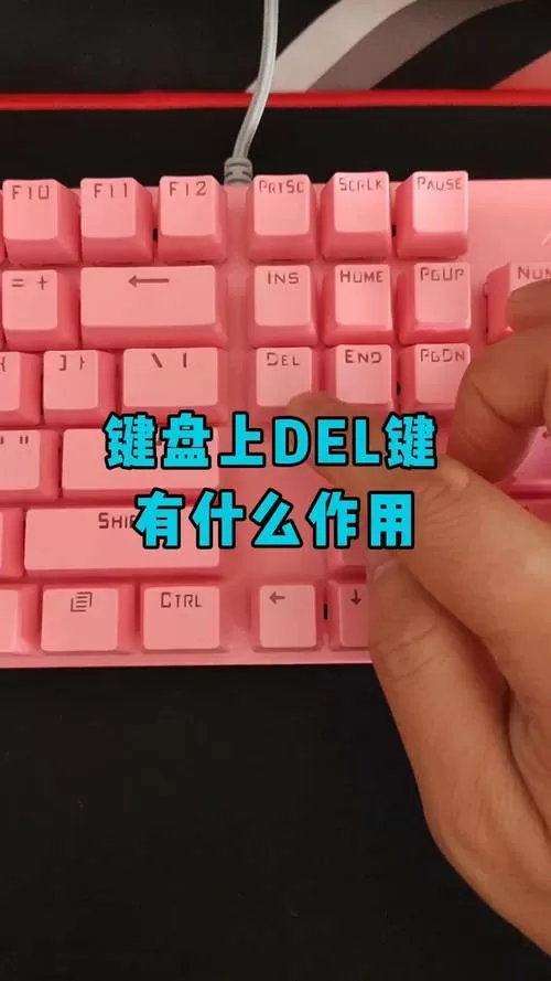del键位在哪截图