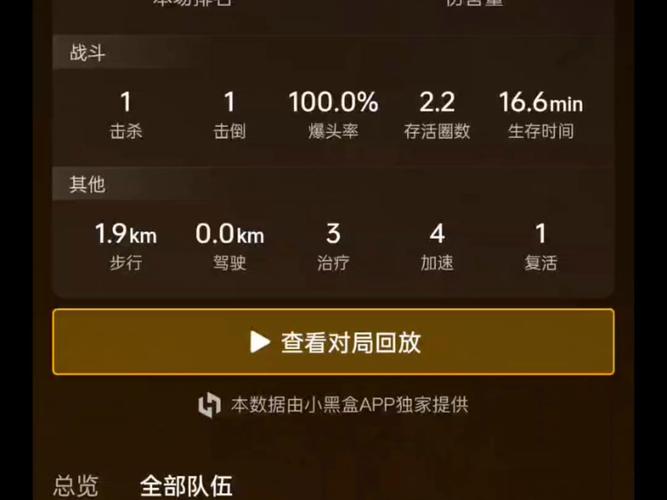 小黑盒战绩怎么隐藏图标
