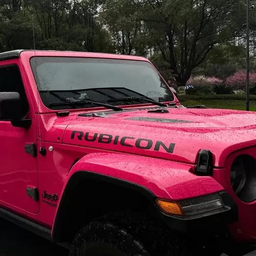 桃红色jeep界人口的特点截图