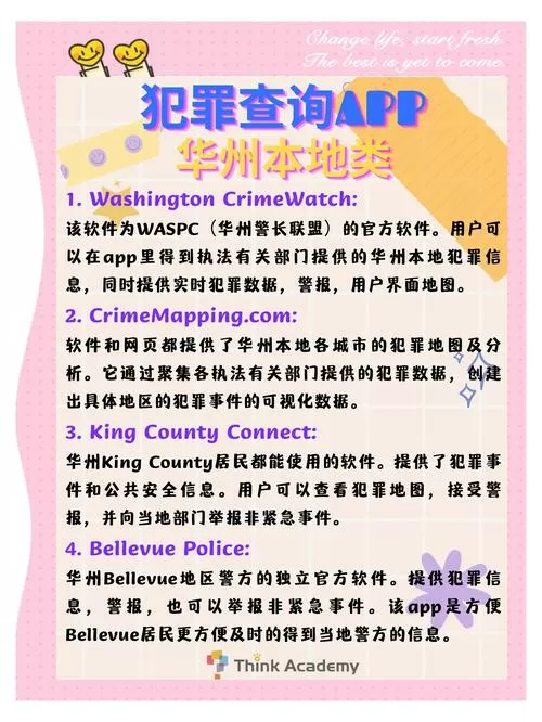 公安网犯罪记录查询截图