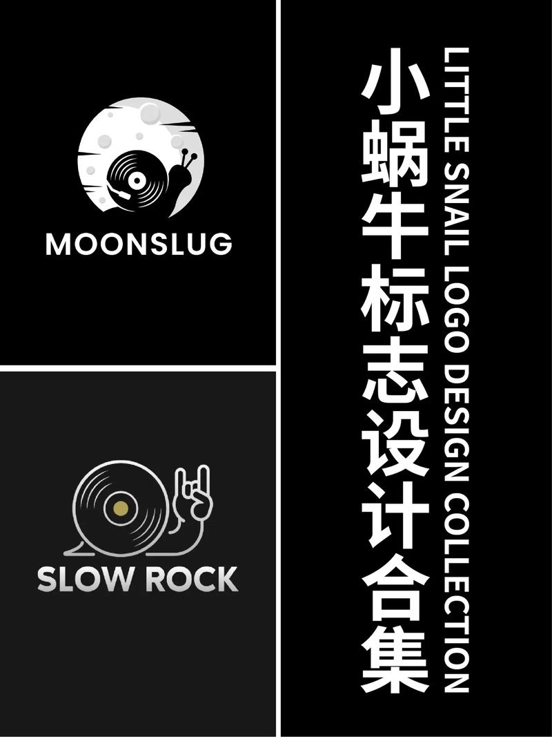 蜗牛加速器官网黑色版免墙版图标