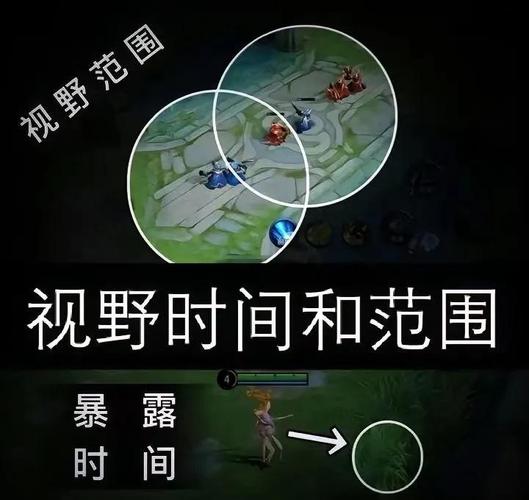 王者荣耀辅助开视野是什么意思中文字幕图标