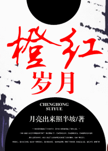 橙红小说2022最新版彩色图标