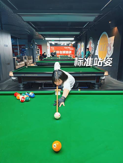 台球辅助器延长线免费视频永久图标