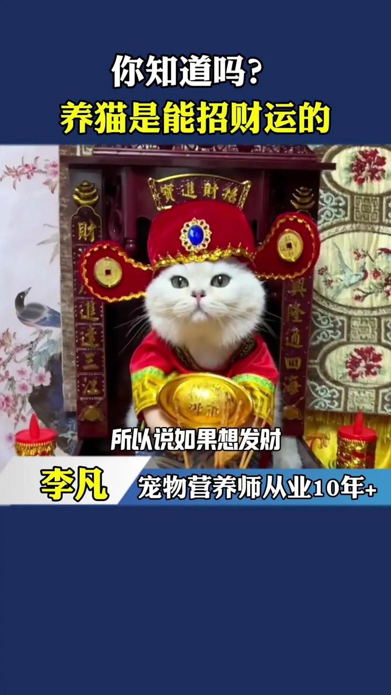 生财养猫免费正版