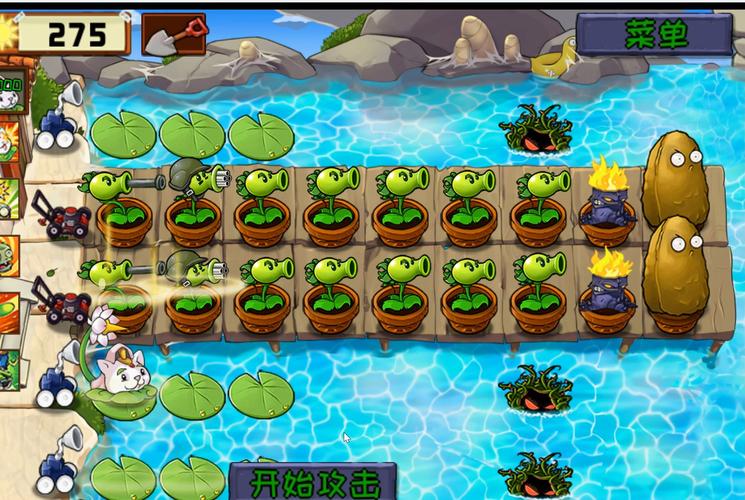 pvz精华版
