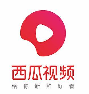 安装西瓜视频极速版是真的吗安全吗图标