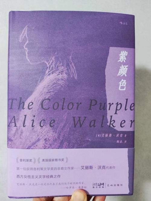 小说txt免费全本紫色版截图