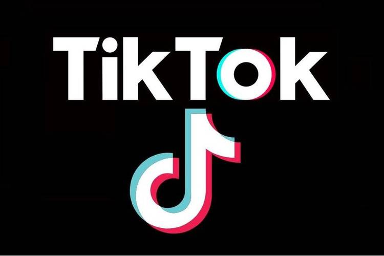 tiktok官方网站登录入口图标