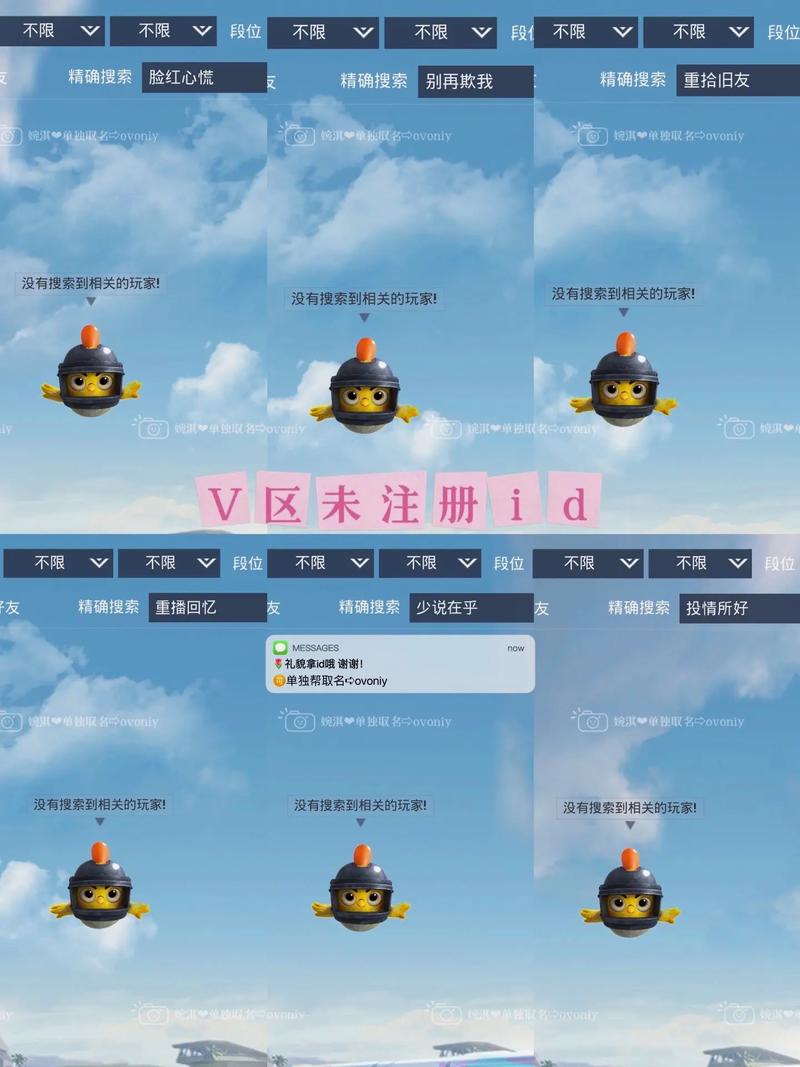 和平精英名字修改器在线截图