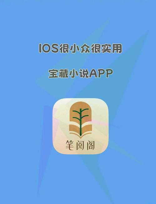 iphone小说阅读软件