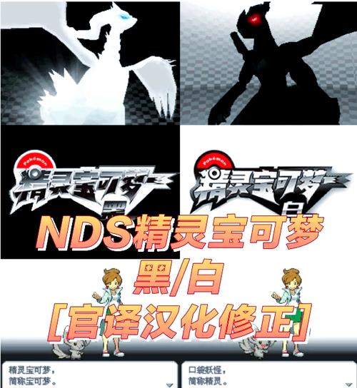 口袋妖怪黑白汉化图标