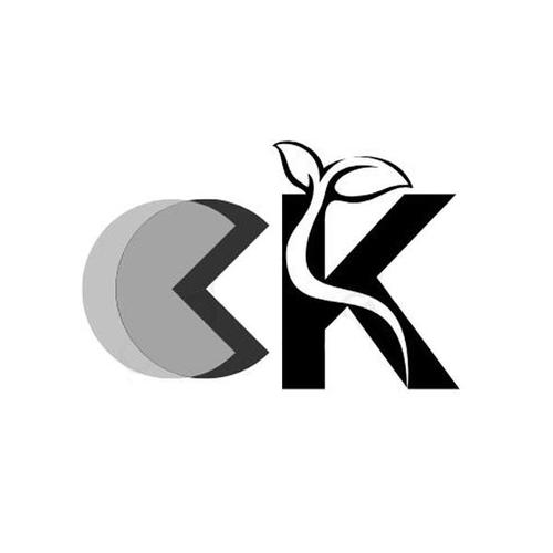 CKTK辅助截图