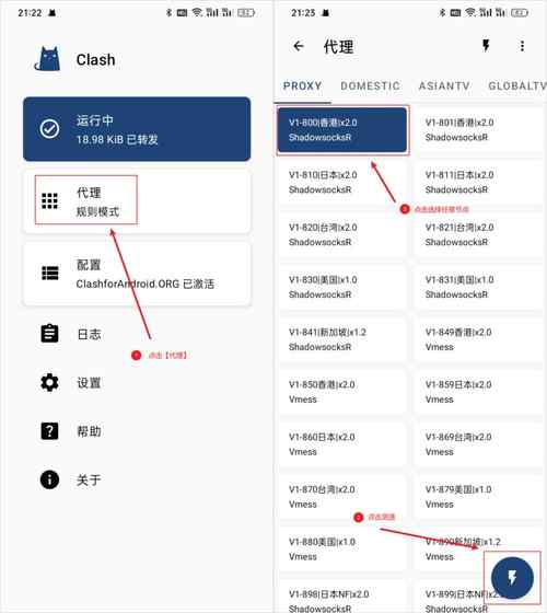 clash配置免费节点2024破解版最新版
