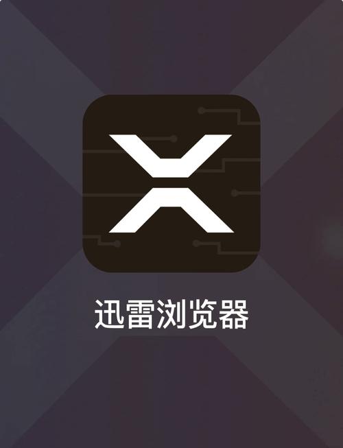 比迅雷好用的神器图标