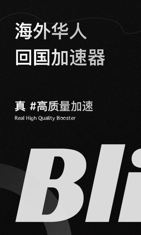 Bling加速器黑色版免墙版图标
