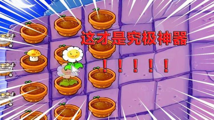 pvz破解版0阳光无冷却粉色版本图标
