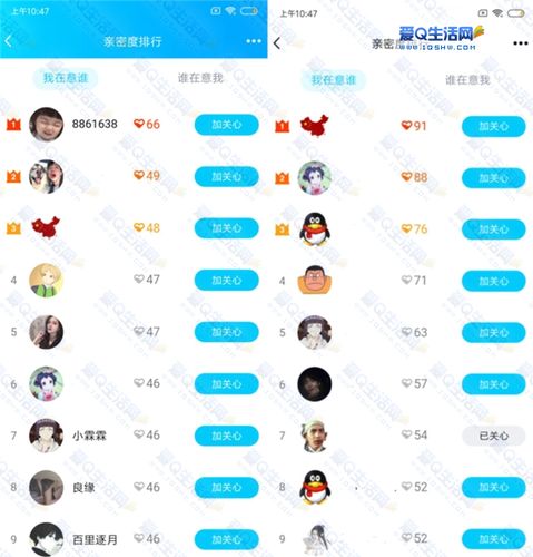 QQ亲密度一键查询工具app图标