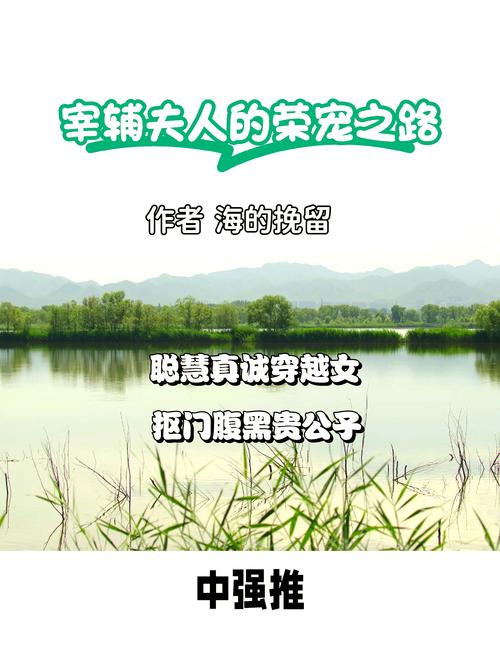 首辅夫人的荣宠之路小说给力版图标