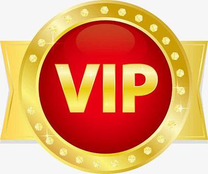flash永久vip截图