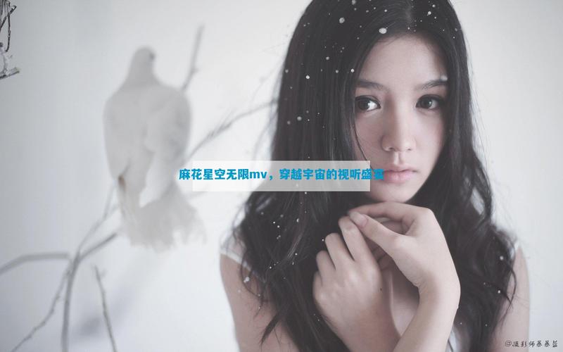 麻花星空mV视频纯净版
