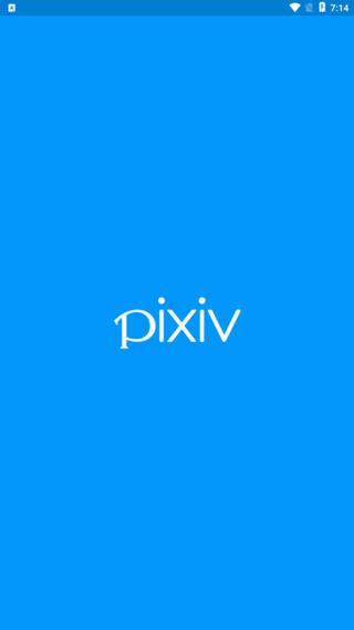 P站PROBURN免费版图标