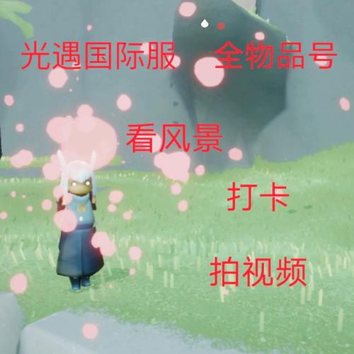 sky全物品安装包
