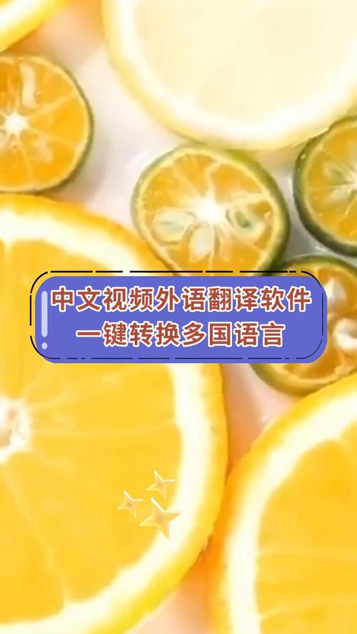 多国语言转换器免广告破解版