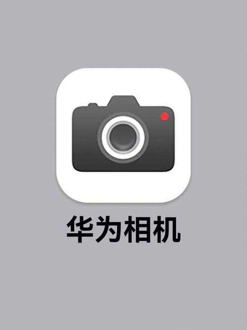手机相机隐藏功能截图