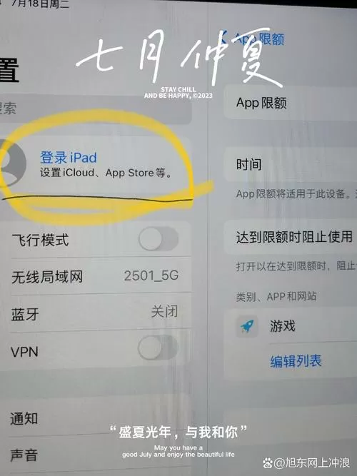 苹果ipad限制访问在哪里啊图标