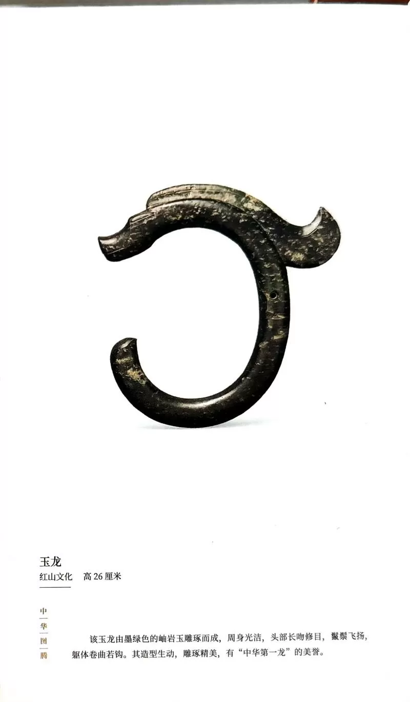 玉龙无闪框架最新版v1.0图标