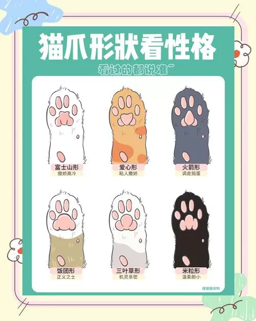 猫爪子大好还是爪子小好截图