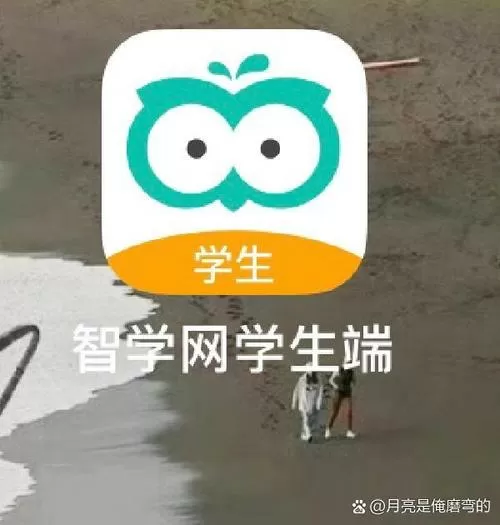 智学网好友伴学破解