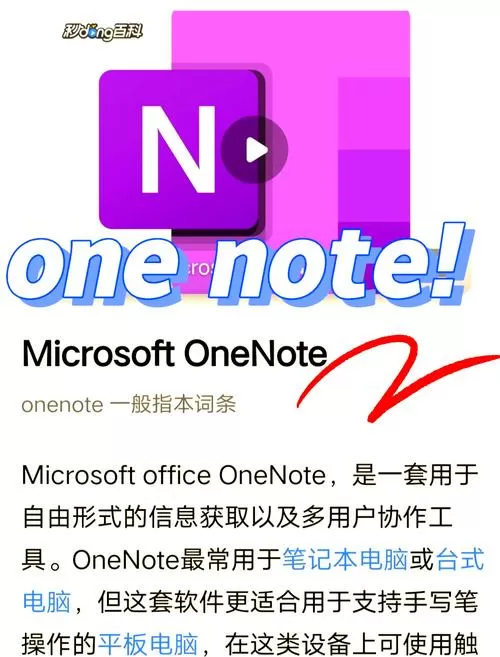 onenote 软件图标