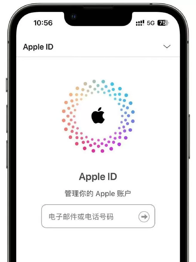 苹果id密码格式截图