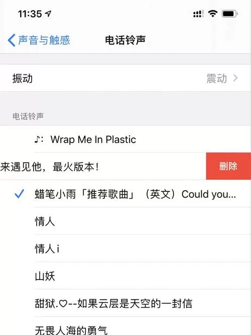 iphone怎样删除铃声里的歌曲图标