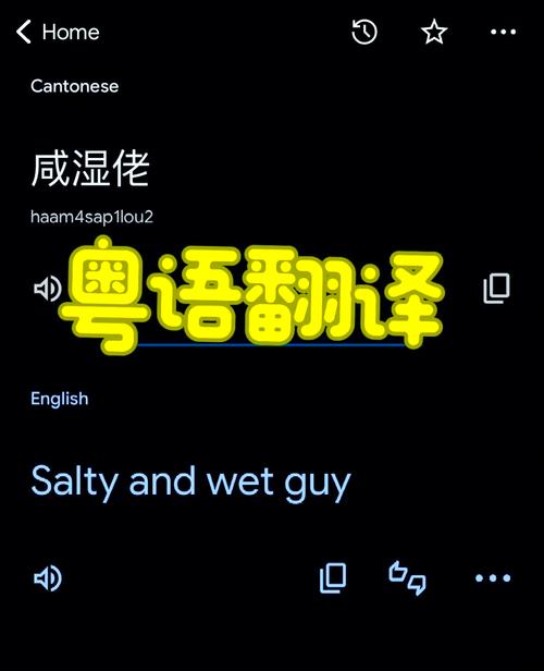 在线翻译广东话图标