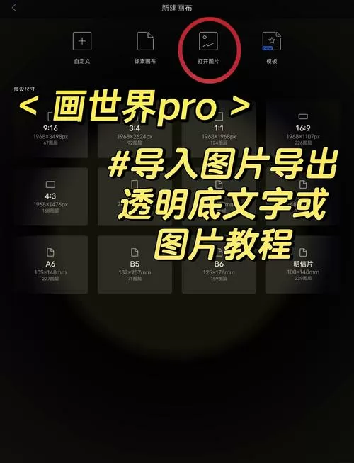 画世界pro导入图片