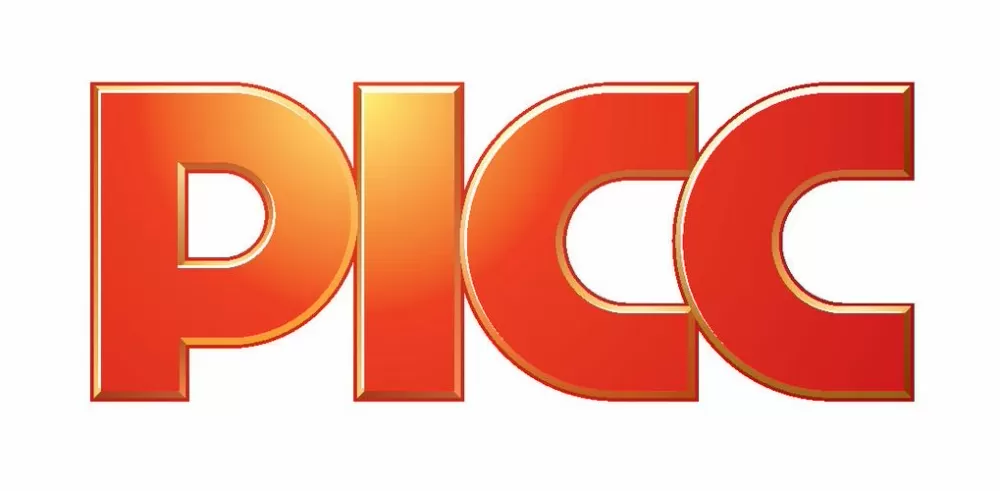 piccopilot软件图标