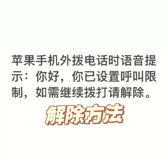 iphone您已设置呼叫限制怎么取消图标