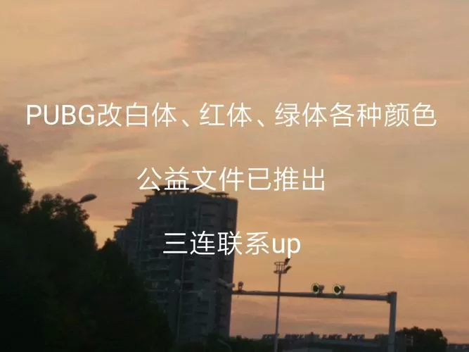 PUBG上色包公益免费改文件截图