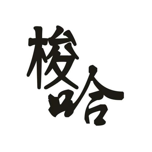 梭哈中文版图标