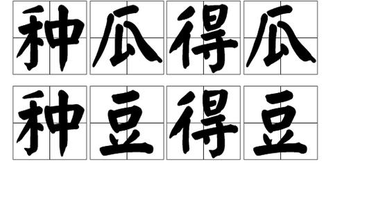 种瓜得瓜种豆得豆的意思是图标