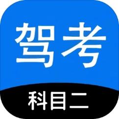 科目二模拟器(免费)截图